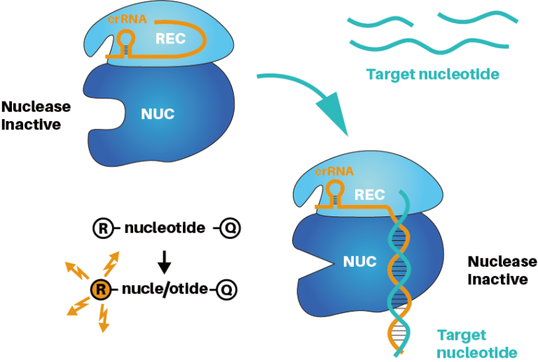 ResFirst – 杭州杰毅生物技术有限公司
